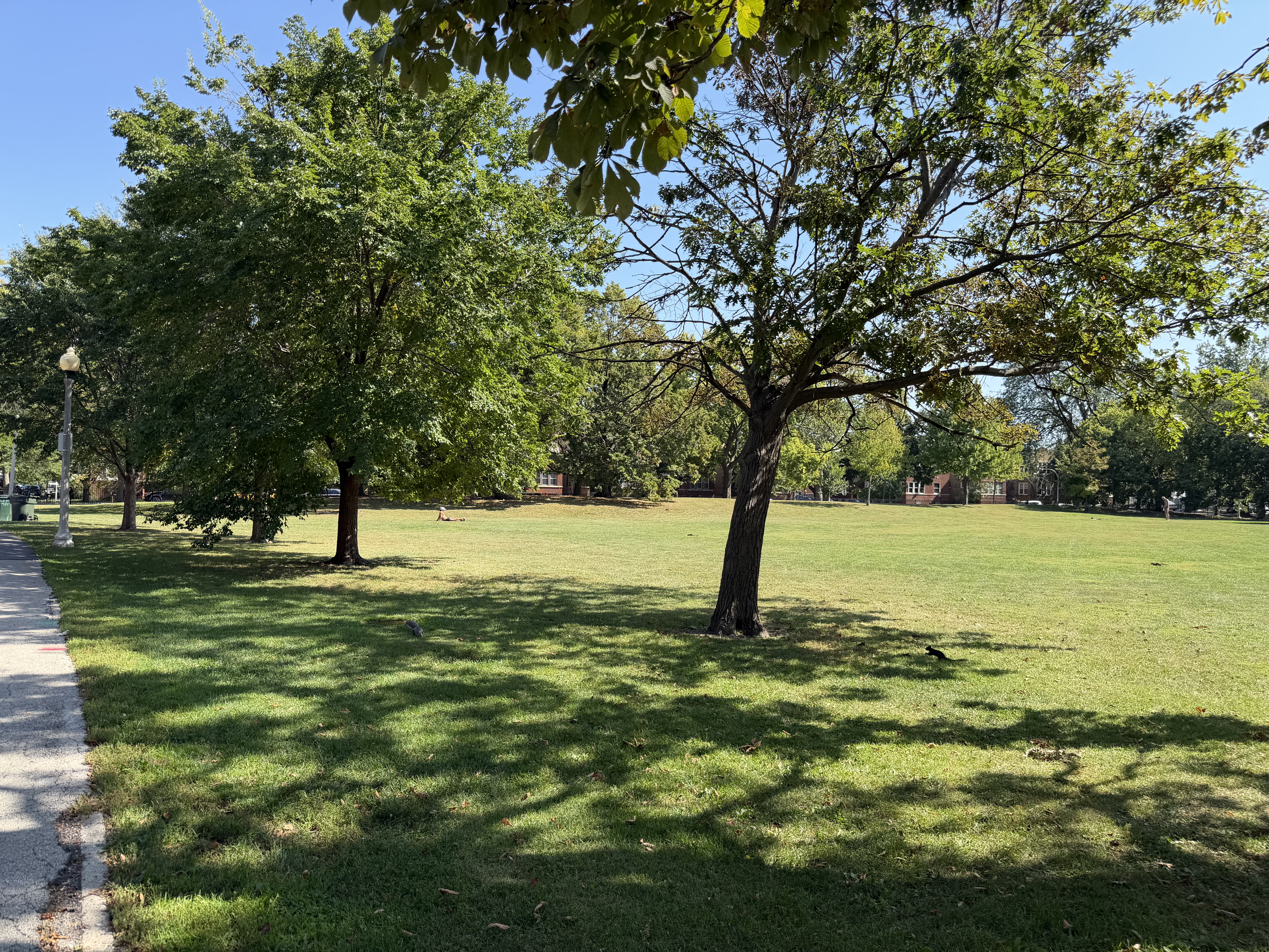 Empty Parks In Chicago Thanks to ICE – Life on the Wicked Stage: Act 3